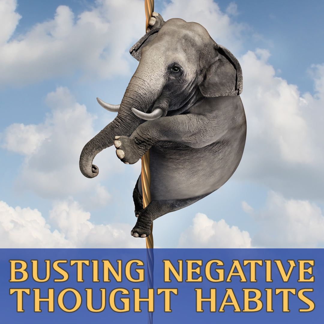 SPP 001—Busting Negative Thought Habits – Dream to Publish | Books ...